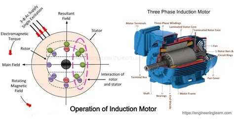 3 Phase Induction Motor Daron Paolina