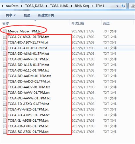 Tcga Rnaseq数据归一化工具使用例子 生信人
