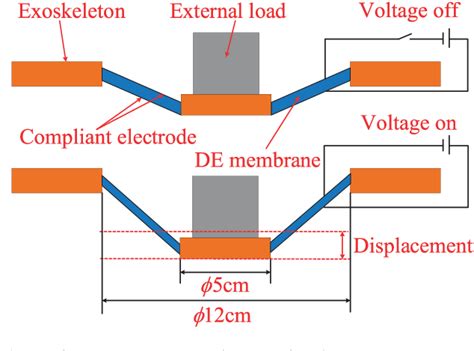Figure 1 From Dynamic Modeling For Soft Dielectric Elastomer Actuator Considering Different