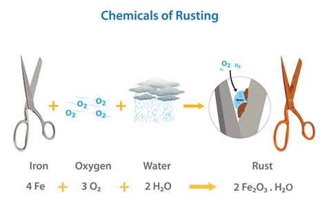 The Chemical Required For Rust Formation Vector Illustration 20240732