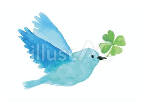 水彩画 飛んでいる鳥とクローバーイラストイラスト No 22211929無料イラストフリー素材ならイラストAC