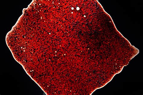 Tabumaterial Tierblut Get Circular