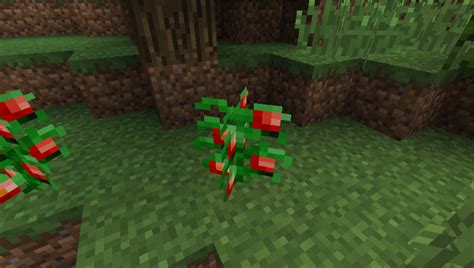 More Food Mod Mcreator