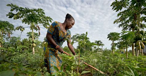 Sustainable Farming Solidarity With South Sudan