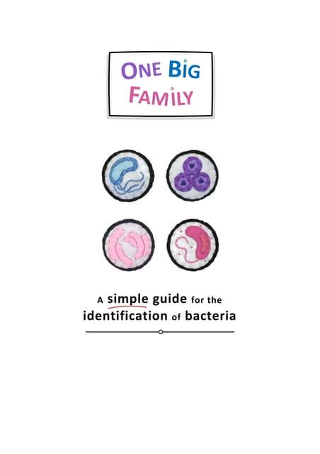 Identification Of Bacteria Notes By Ehhpdf