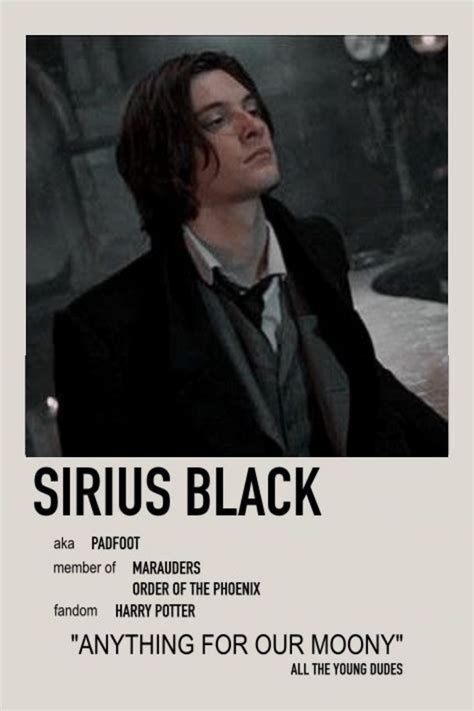 Sirius Black Poster Padfoot Fancast Sirius Black Pelé Black