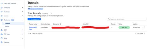 Cloudflare Tunnel Thomas Wilde Tech