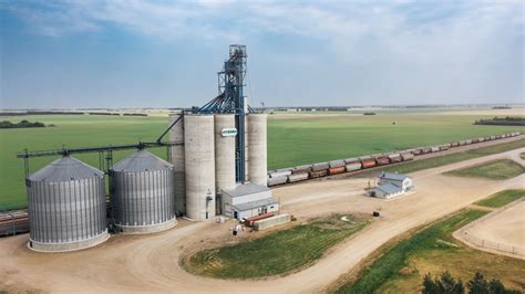 Grain Elevators And Special Crops