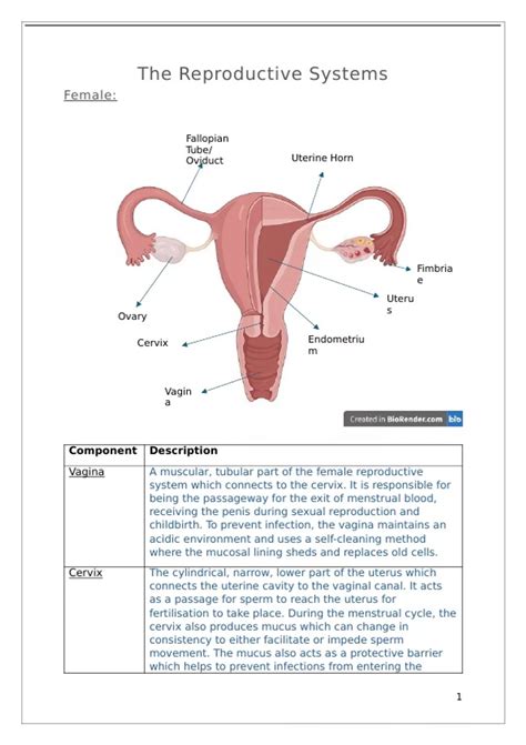Btec Level 3 Applied Science Unit 9 Learning Aim C Unit 9 Human Regulation And