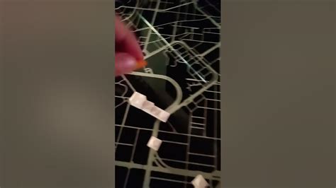 11 De Septiembre De 2024 Youtube