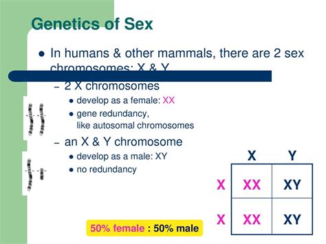 Chapter 15~ The Chromosomal Basis Of Inheritance Ppt Download