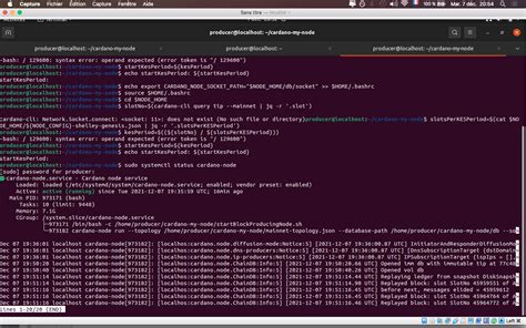 Cardano Cli Network Socket Connect Does Not Exist No Such File
