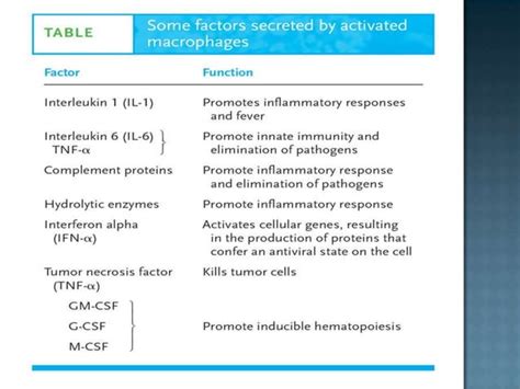 Respiratory Burst By Phagocytosis Pptx Chemistry Science