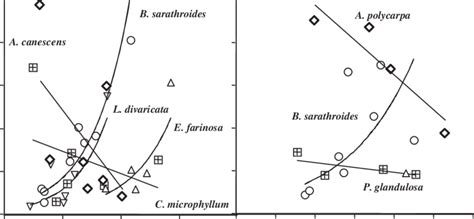 Photosynthetic Nitrogen Use Efficiency 0 1 0 2 0 3 0 4 0 5 0 6 0