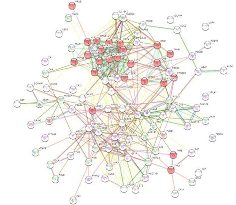 An Example Of The Results Of The Analysis With String Db Download Scientific Diagram