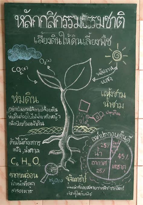 หลักกสิกรรมธรรมชาติ เครือข่ายกสิกรรมธรรมชาติโคราช