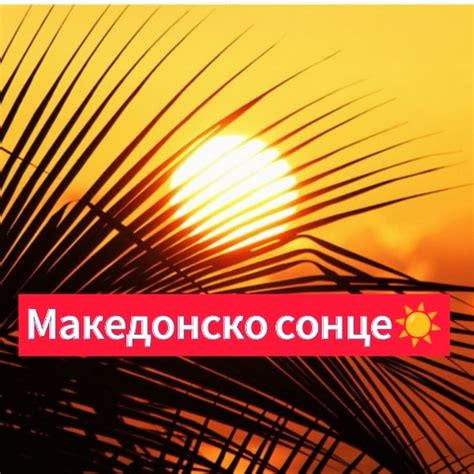 Makedonskosonce Youtube