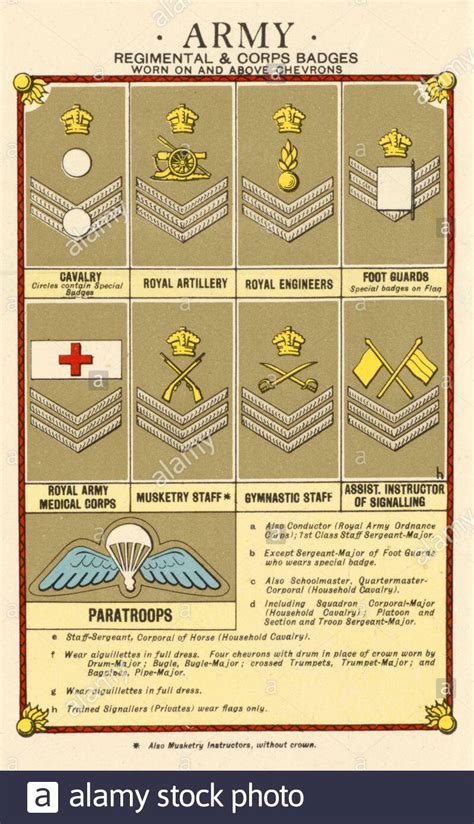 British Military Insignia Army Officer Rank Insignia Puqrd