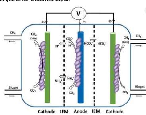 Figure 3 From Advances In Biogas Purification Techniques Semantic Scholar