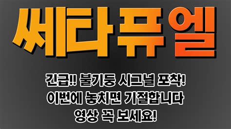 쎄타퓨엘 긴급 불기둥 시그널 포착 이번에 놓치면 기절합니다 영상 꼭 보세요 Youtube