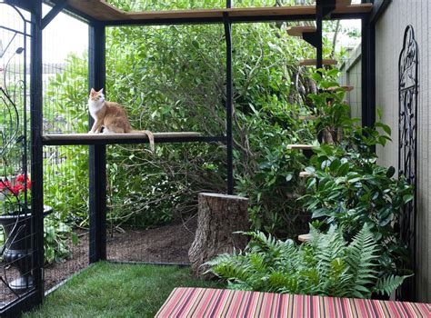Catio Outdoor Cat Enclosure