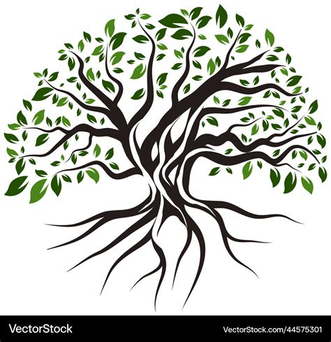 Oak Tree Round Shape Can Use As Logo Royalty Free Vector