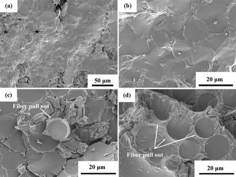 High Magnification Fracture Surface Of Sicf Sic Minicomposites A B Download Scientific