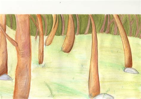 Week 12 Presentation Of Work Bethany Borg