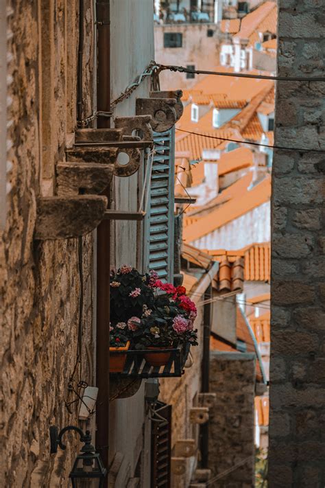 40000 Foto Wallpaper Cewe Terbaik · Unduh Gratis 100 · Foto Stok Pexels