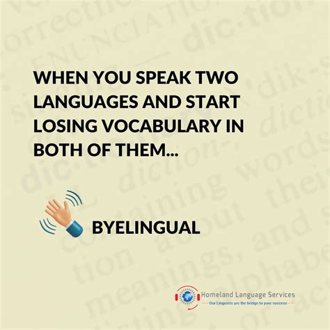 Homeland Language Services On Linkedin So True 😅 Switch Languages Mid Sentence Has This Ever