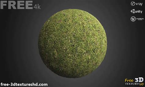 Grass Ground Seamless 3d Texture Pbr In High Resolution Free Download