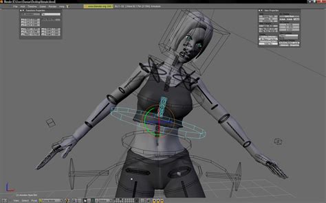 D Rigged Female