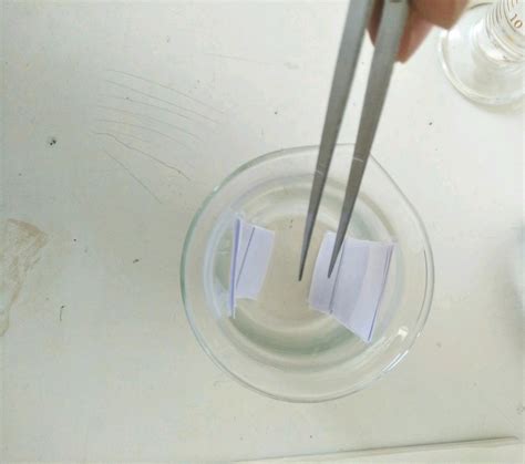 自制检验氯气的试纸 哔哩哔哩