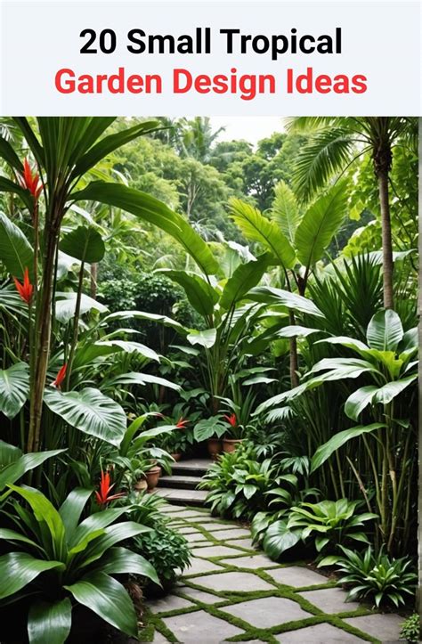 Small Tropical Garden Design Ideas Toolz Geek Small Tropical Gardens Tropical Garden