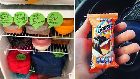 Gansito Congelado Meme El Deforma Un No Ticiero De Verdad
