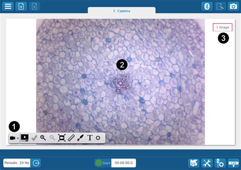 Camera Display Sparkvue Help