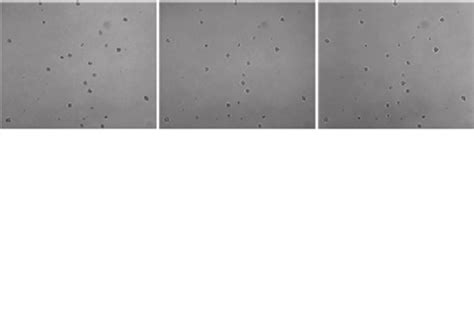 1321 Spectroscopy Microscope Image Processing Book