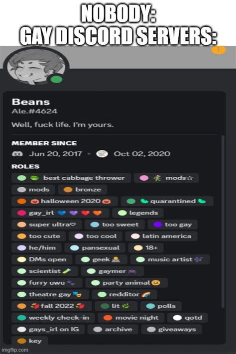 Discord Memes And S Imgflip