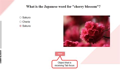 How To Use Tab Order In Activepresenter 9 Atomi Systems Inc