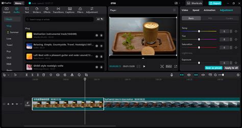 5 Best Video Grading Software For Stunning Results Free Custom Filters