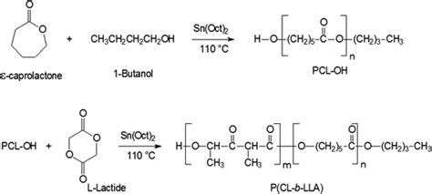 Sequential Block Copolymerization Of Cl And Lla Download Scientific Diagram