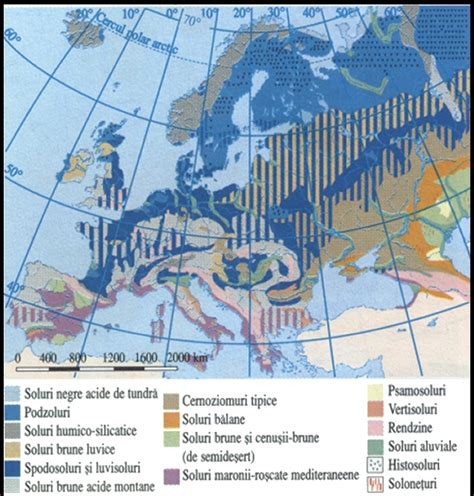 Geographia Online