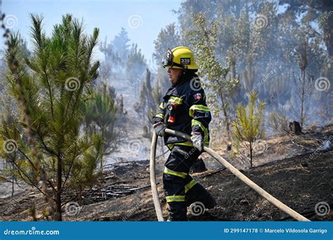 Firefighter Woman And Elmo In Sesame Street Party Parade At Seaworld Editorial Image