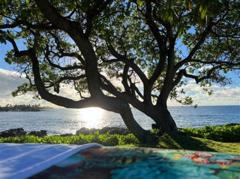 Jessica Dutton On Linkedin Massagebook