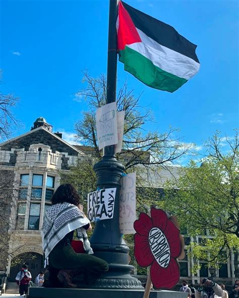 Anti Israel Protesters Set Up City College Encampment New York Post