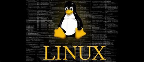 Linux Basics For The Aspiring Hacker Version 20 Creating Directories And Files White