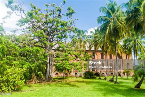 프랑스 령 기아나의 일스 뒤 살루트 섬 중 하나인 일 로얄의 전 형벌 식민지 교도소에 대한 스톡 사진 및 기타 이미지 교도소 금지됨 기아나 고지 Istock