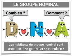 Les Accords Dans Le Groupe Nominal Lutin Bazar