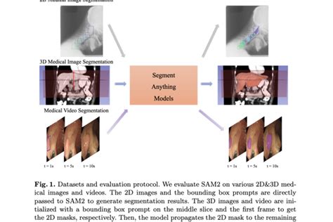 Comparative Evaluation Of Sam2 And Sam1 For 2d And 3d Medical Image Segmentation Performance
