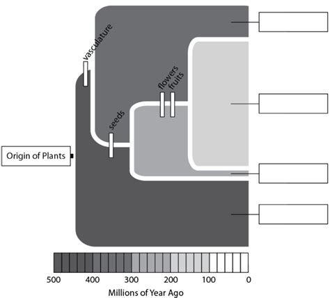 Botany Lab 1 Concepts Diagram Quizlet